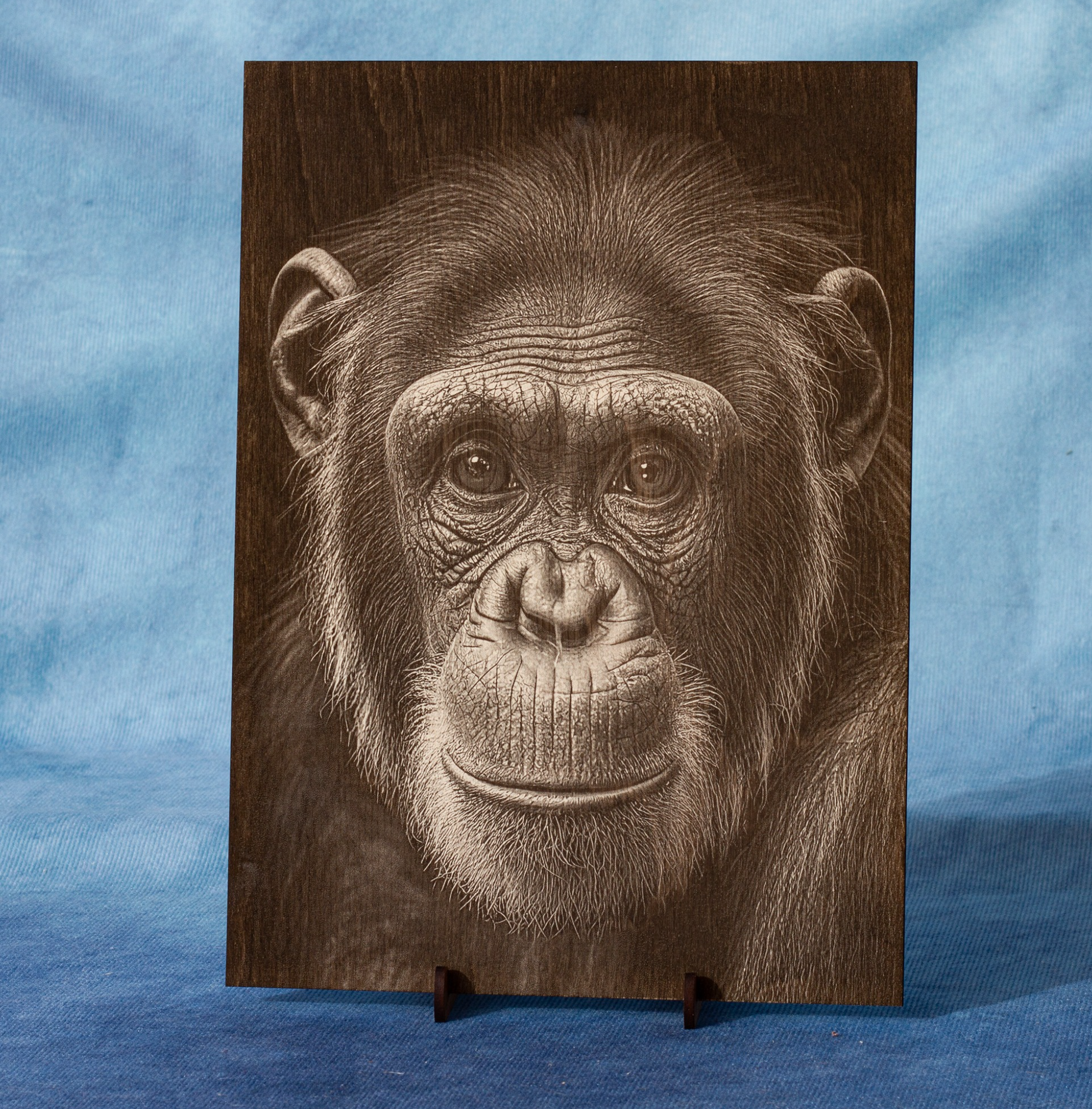 nejelaser_e402 | NEJE.WIKI