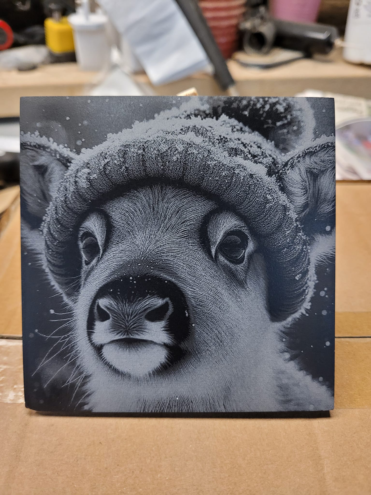 nejelaser_e80 | NEJE.WIKI